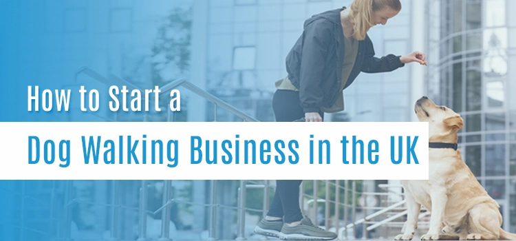 How to Start a Dog Walking Business? - Study Plex