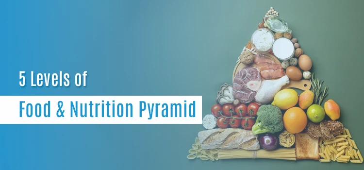 5 Levels of Food and Nutrition Pyramid