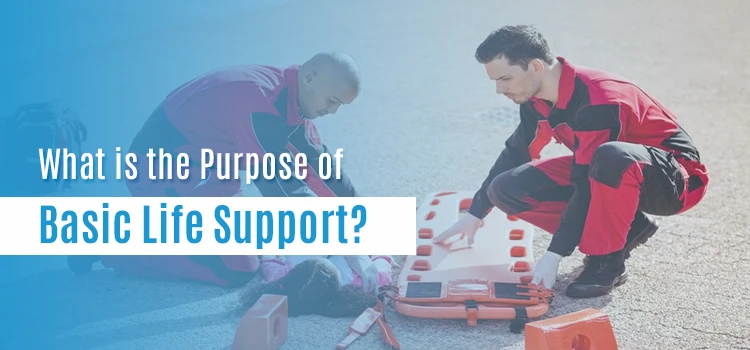 What is the Purpose of Basic Life Support? - Secret Revealed